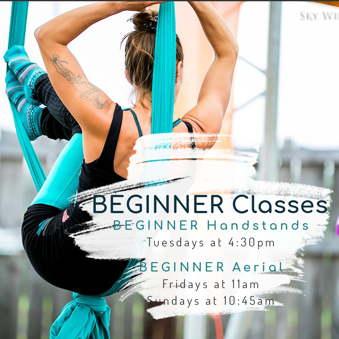Beginner Aerial and Handstand Classes - Stomping Ground Studio: Aerial ...